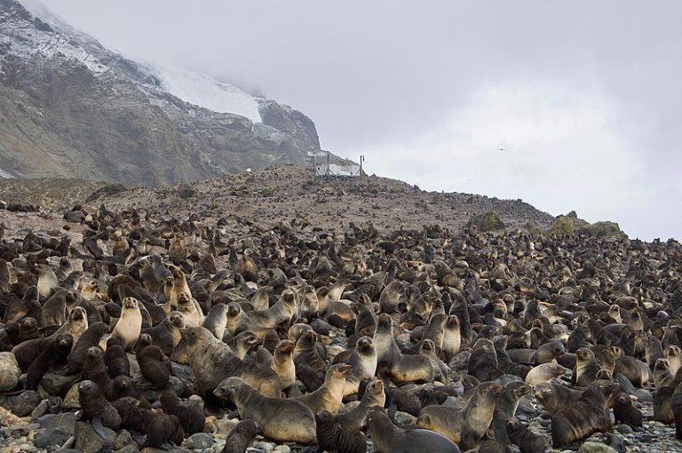 Most Isolated Islands In The World- 26 Incredible Remote Islands